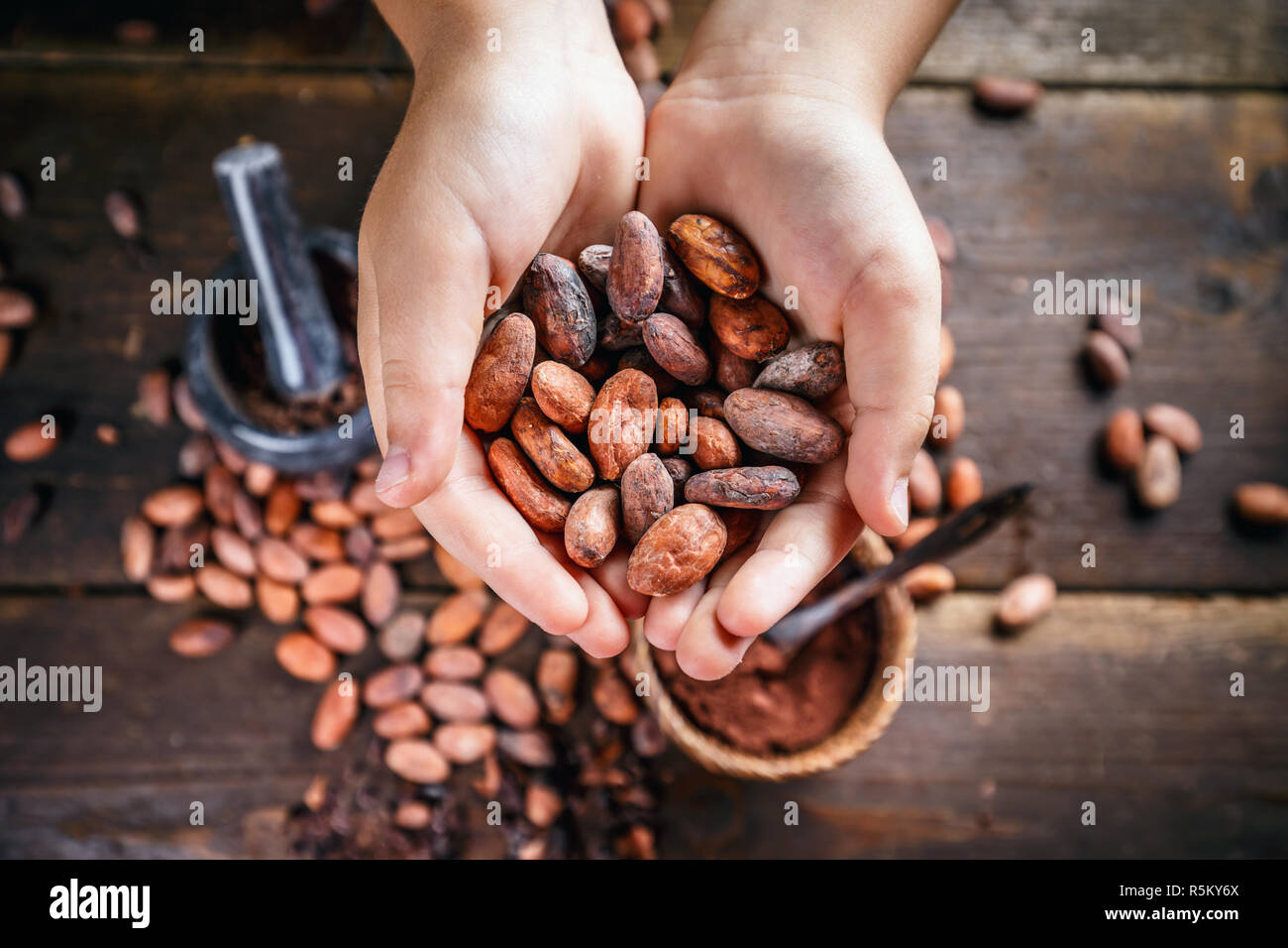 Hand holds cocoa beans Stock Photo - Alamy