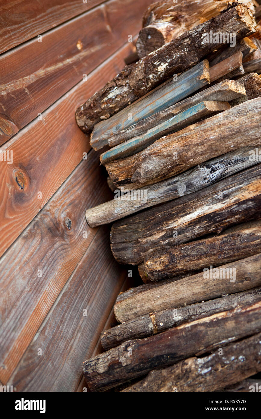Wooden logs in the forest Stock Photo - Alamy
