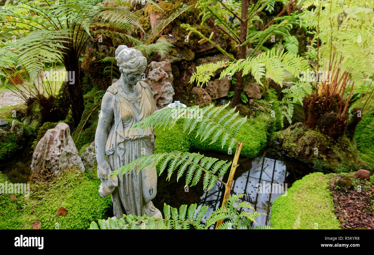 Ascog hall ferns hi-res stock photography and images - Alamy