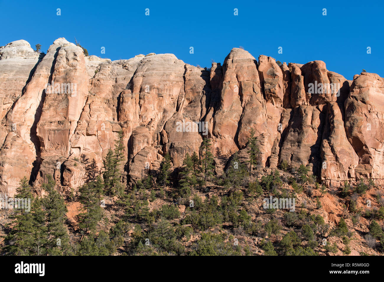 Chama river canyon wilderness hi-res stock photography and images - Alamy