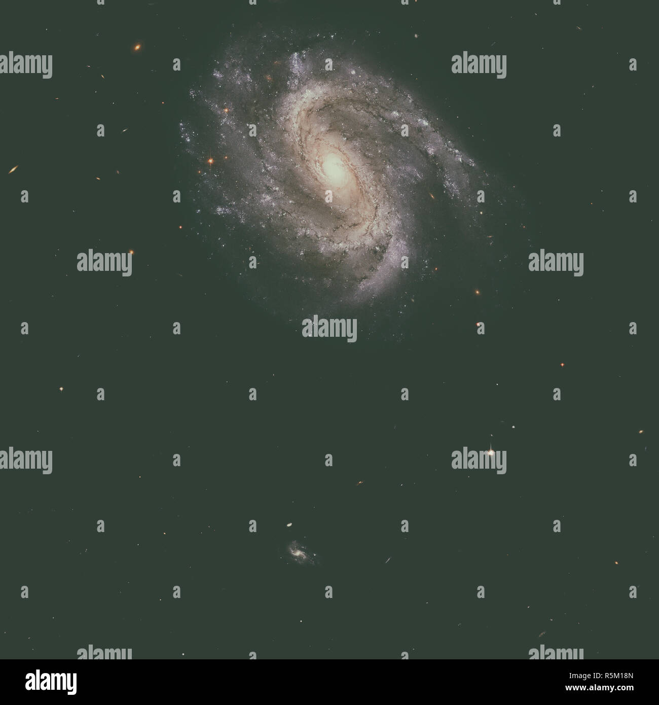 Cetus Constellation High Resolution Stock Photography and Images - Alamy