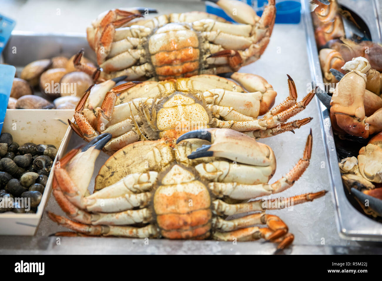 Crabs at the fish market belly up Stock Photo - Alamy