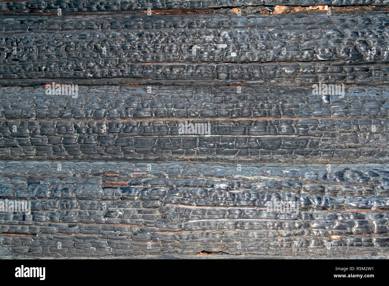 Texture of charred logs. Burned wooden charred log house texture ...