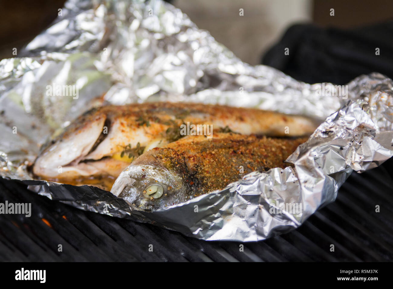 Doraden hi-res stock photography and images - Alamy