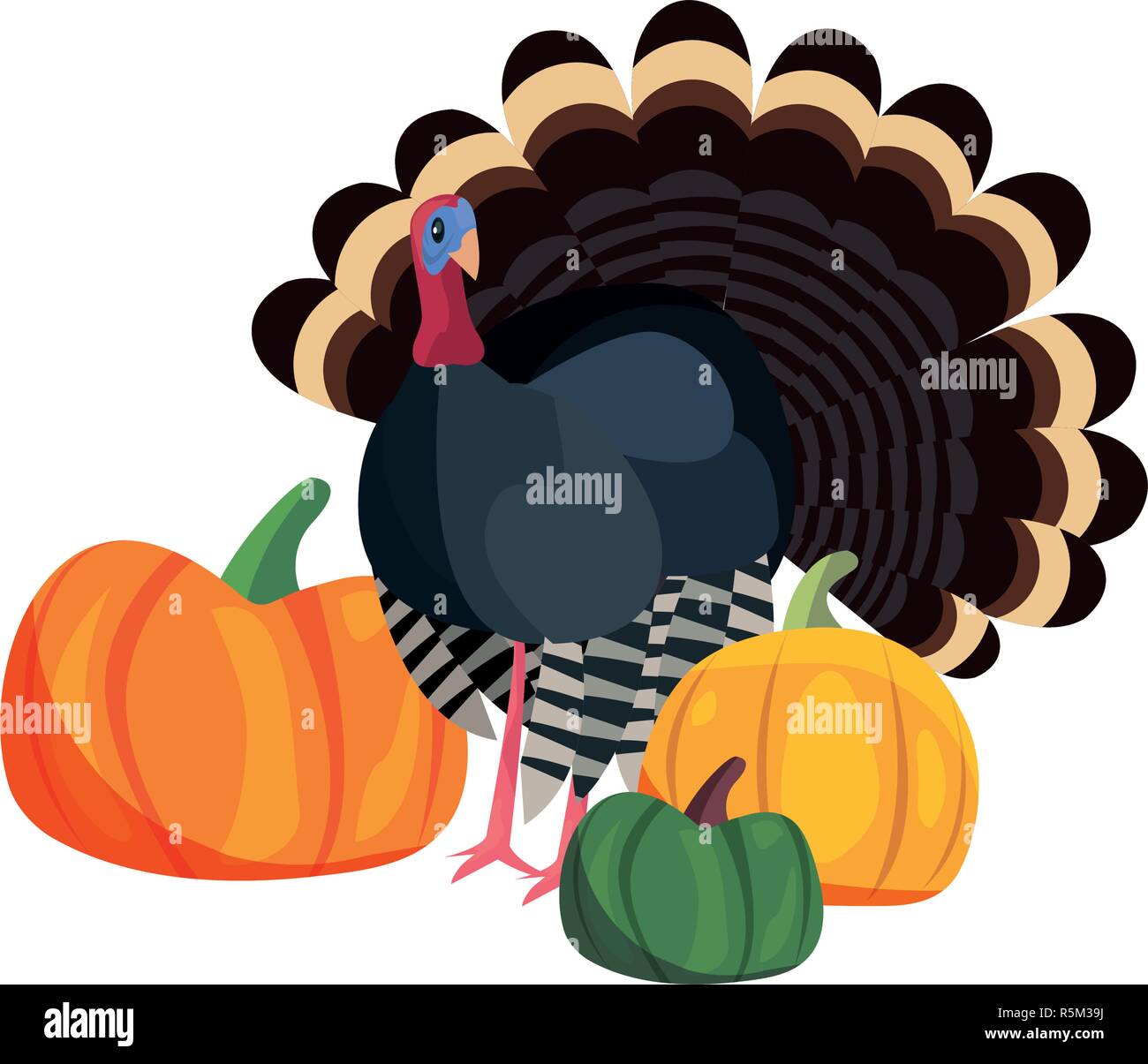 thanksgiving turkey and pumpkins food vector illustration vector ...