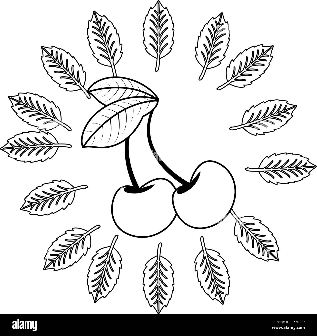 cherry fresh leaves label sticker vector illustration Stock Vector ...