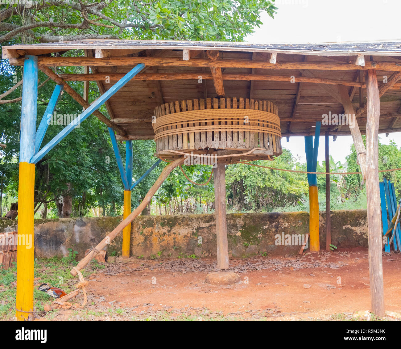 Winch powered by a horse draws water from a deep well in Cuba Stock ...