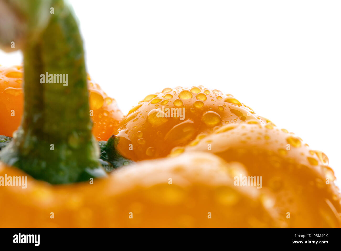The head of ripe yellow pepper with drops of water Stock Photo - Alamy