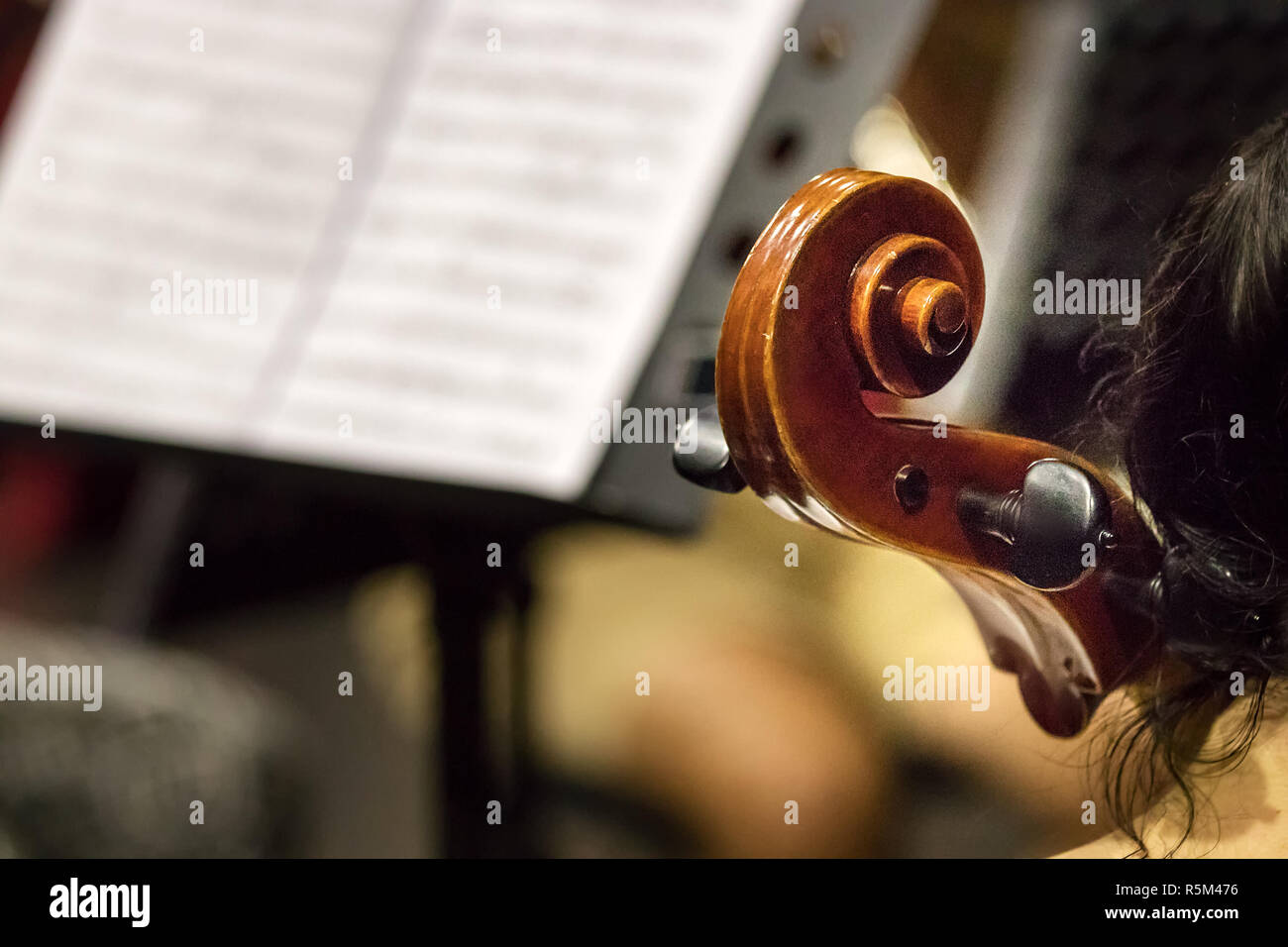 Cutaway Cello Scroll