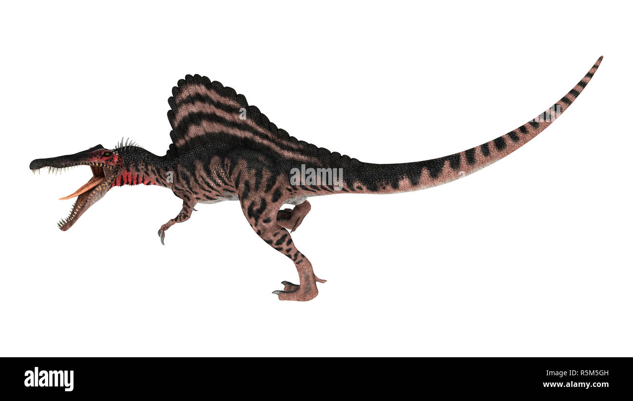 3D Rendering Dinosaur Spinosaurus on White Stock Photo - Alamy
