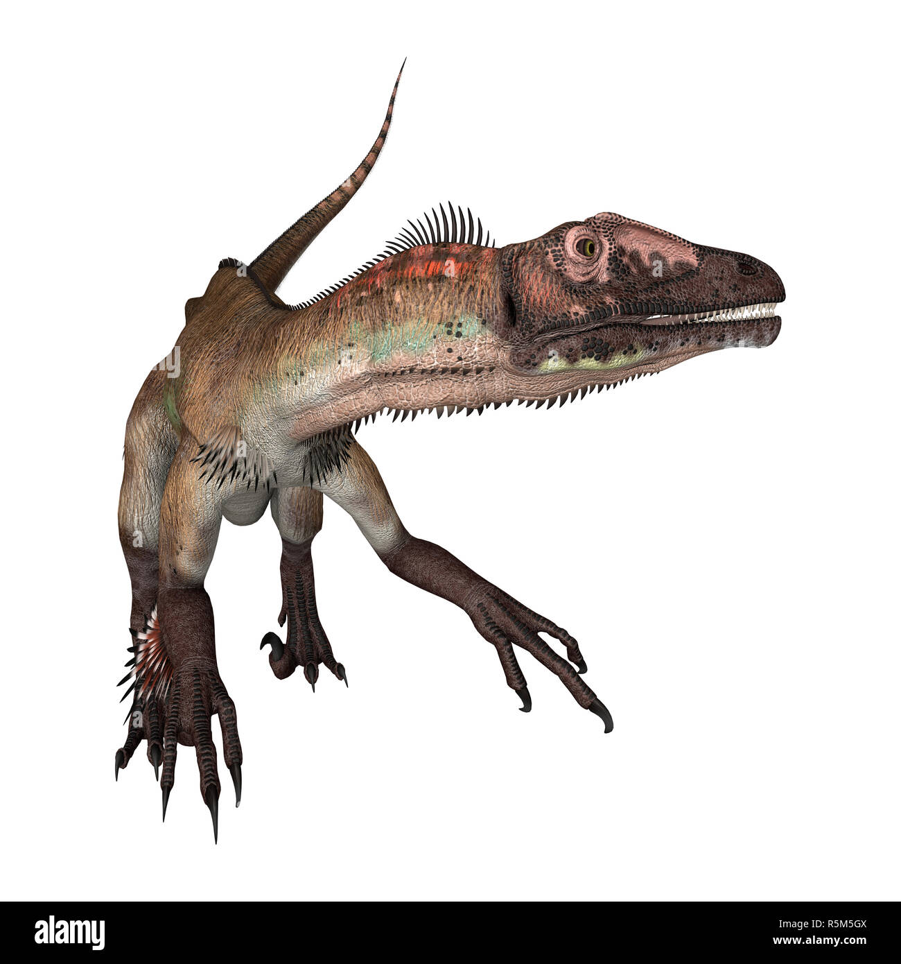 3D Rendering Dinosaur Utahraptor on White Stock Photo - Alamy