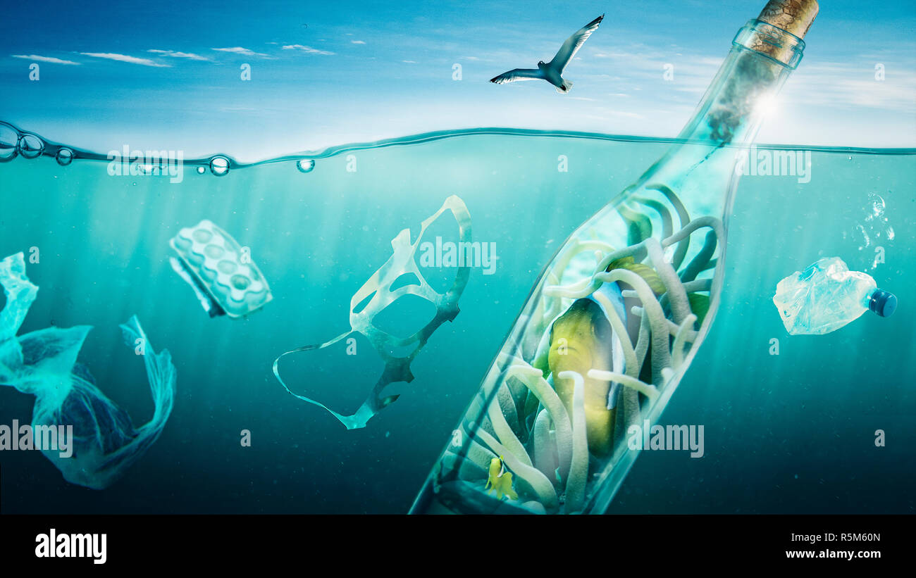 Underwater rubbish hi-res stock photography and images - Alamy