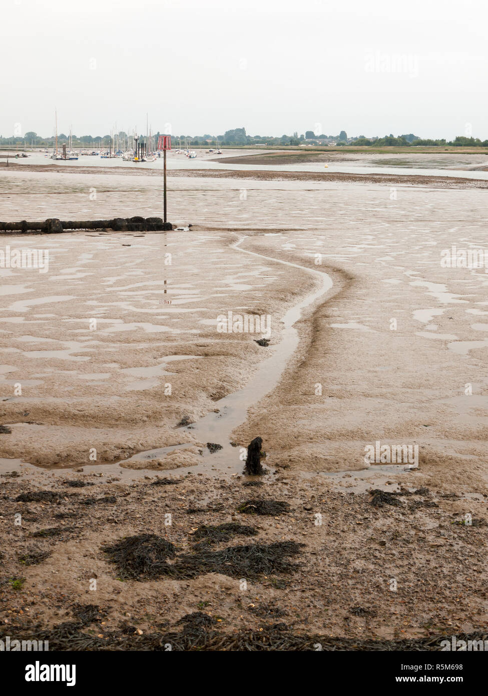 a line in the mud at the beach river Stock Photo - Alamy