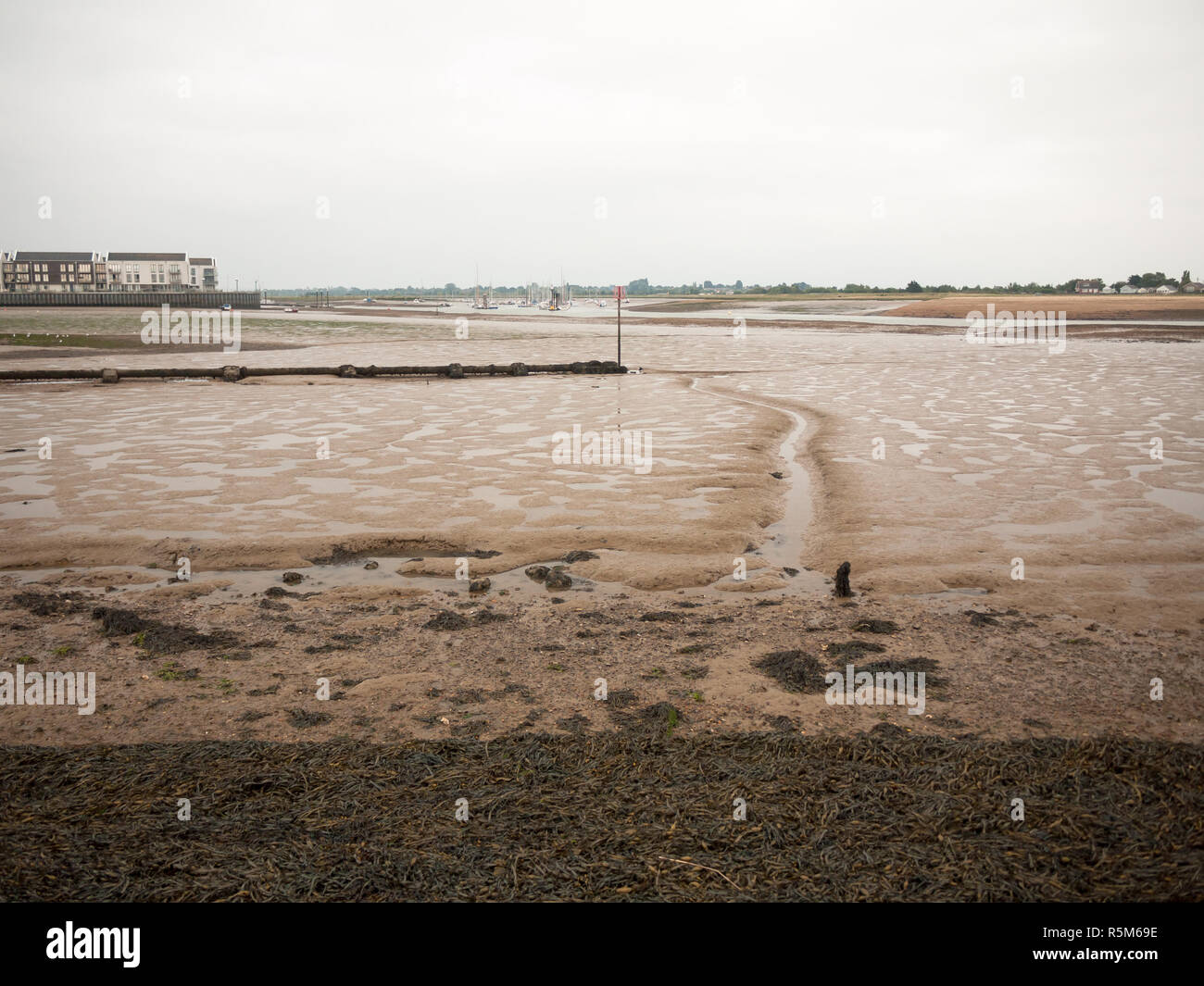 a line in the mud at the beach river Stock Photo - Alamy