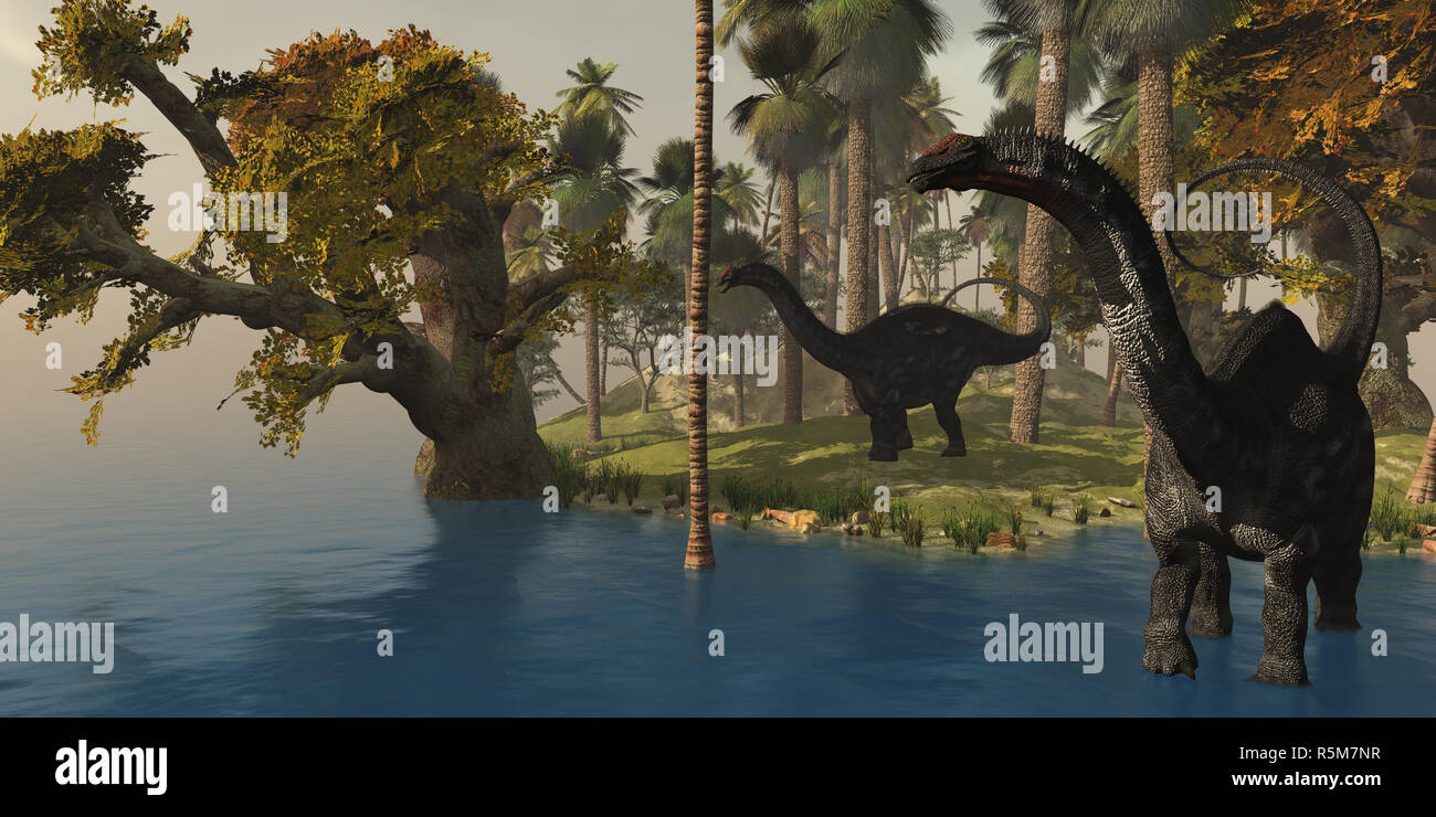 Brontosaurus teeth hi-res stock photography and images - Alamy