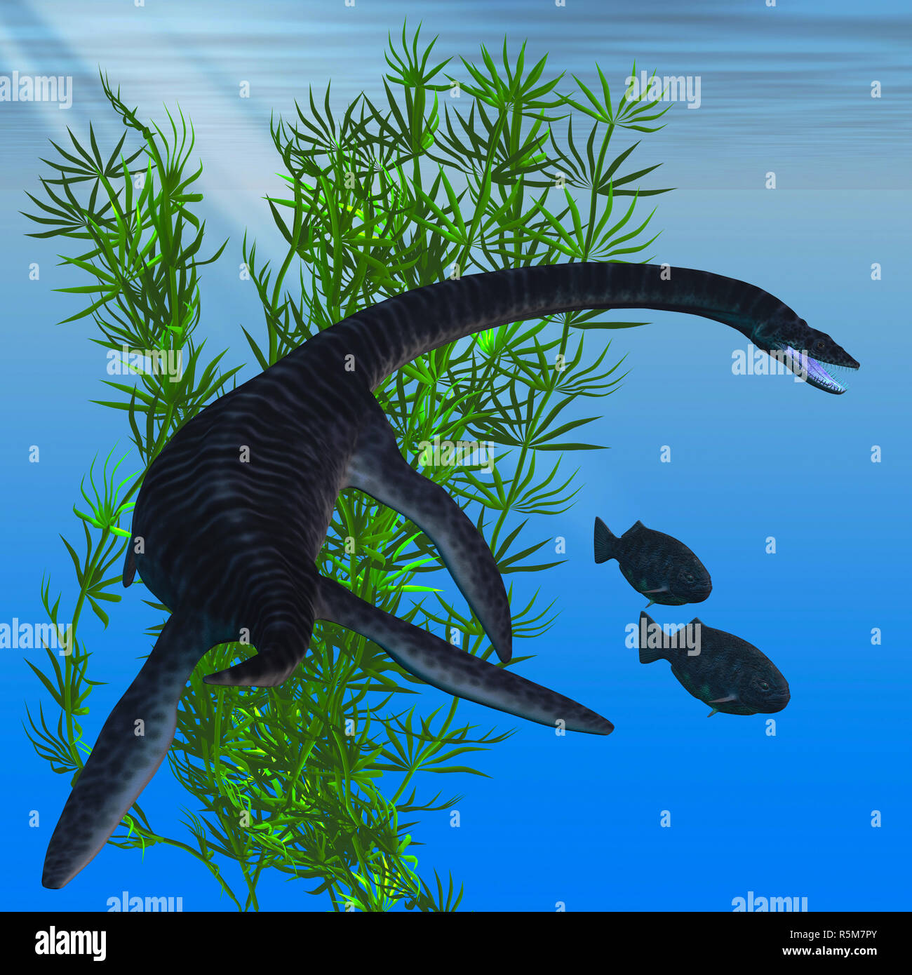 Photo of nessie hi-res stock photography and images - Alamy