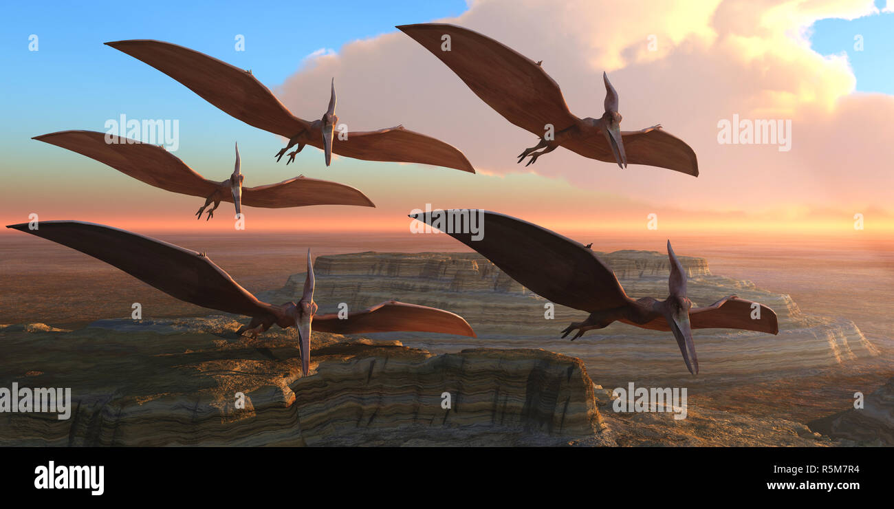 Flying lizard flight hi-res stock photography and images - Alamy