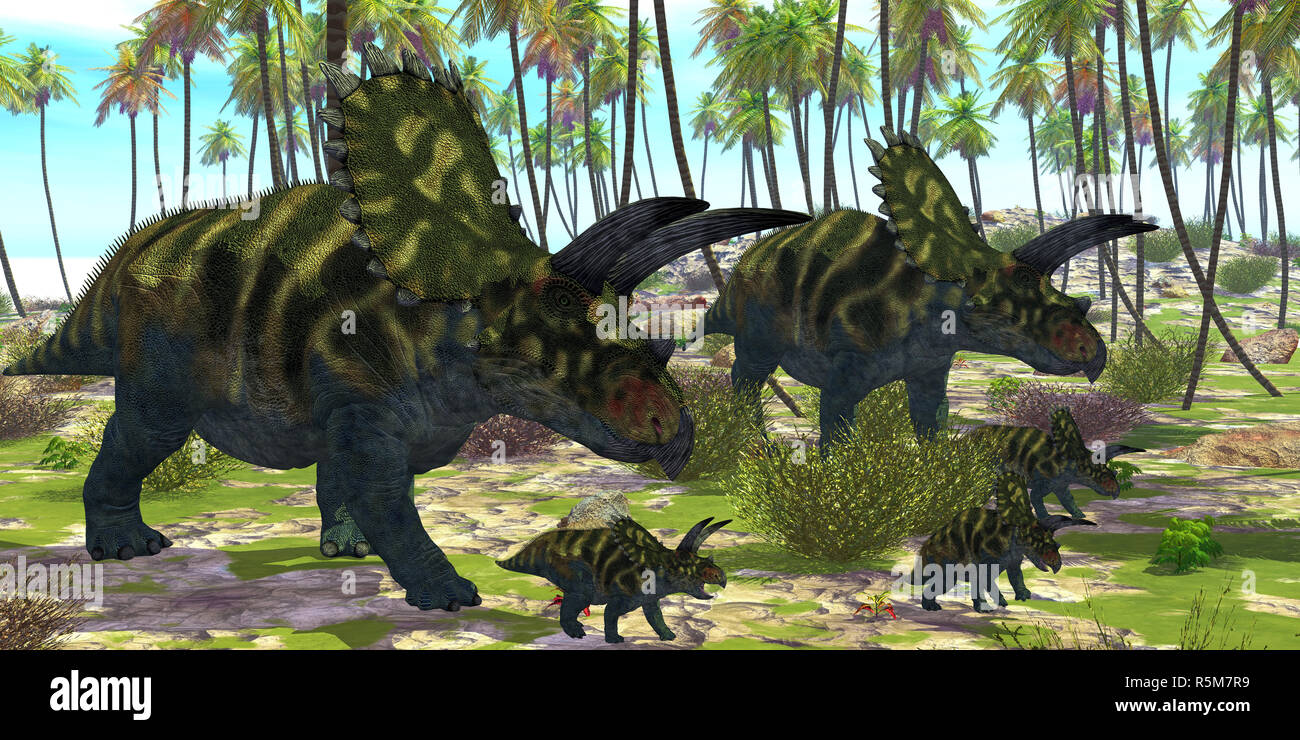 Coahuilaceratops hi-res stock photography and images - Alamy