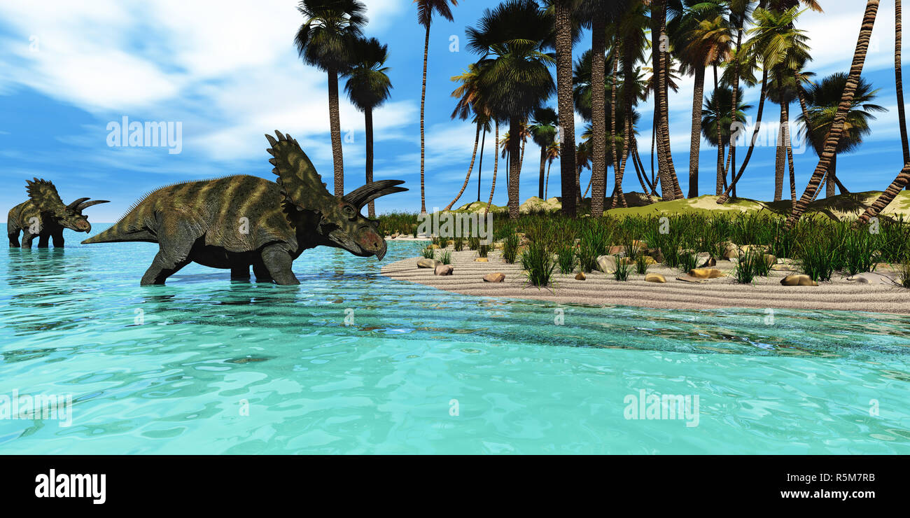 Coahuilaceratops hi-res stock photography and images - Alamy