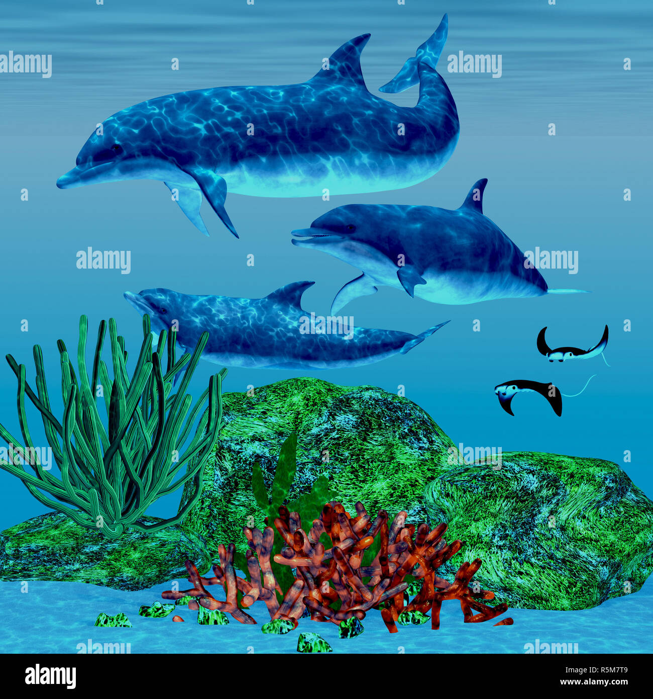 Dolphins swimming underwater illustration hi-res stock photography and images - Alamy