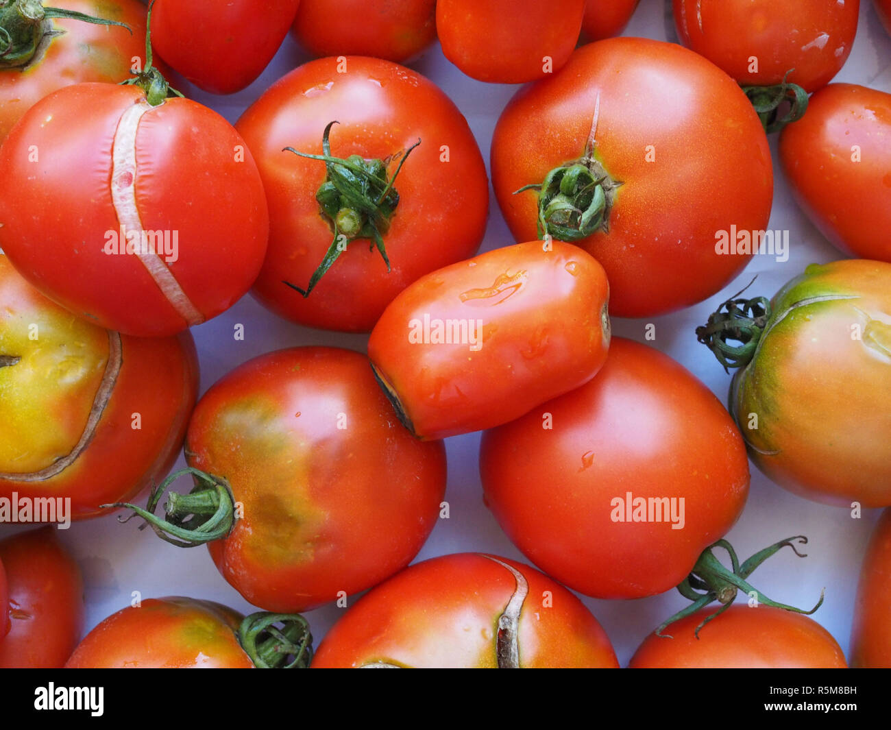 tomato vegetables food Stock Photo - Alamy