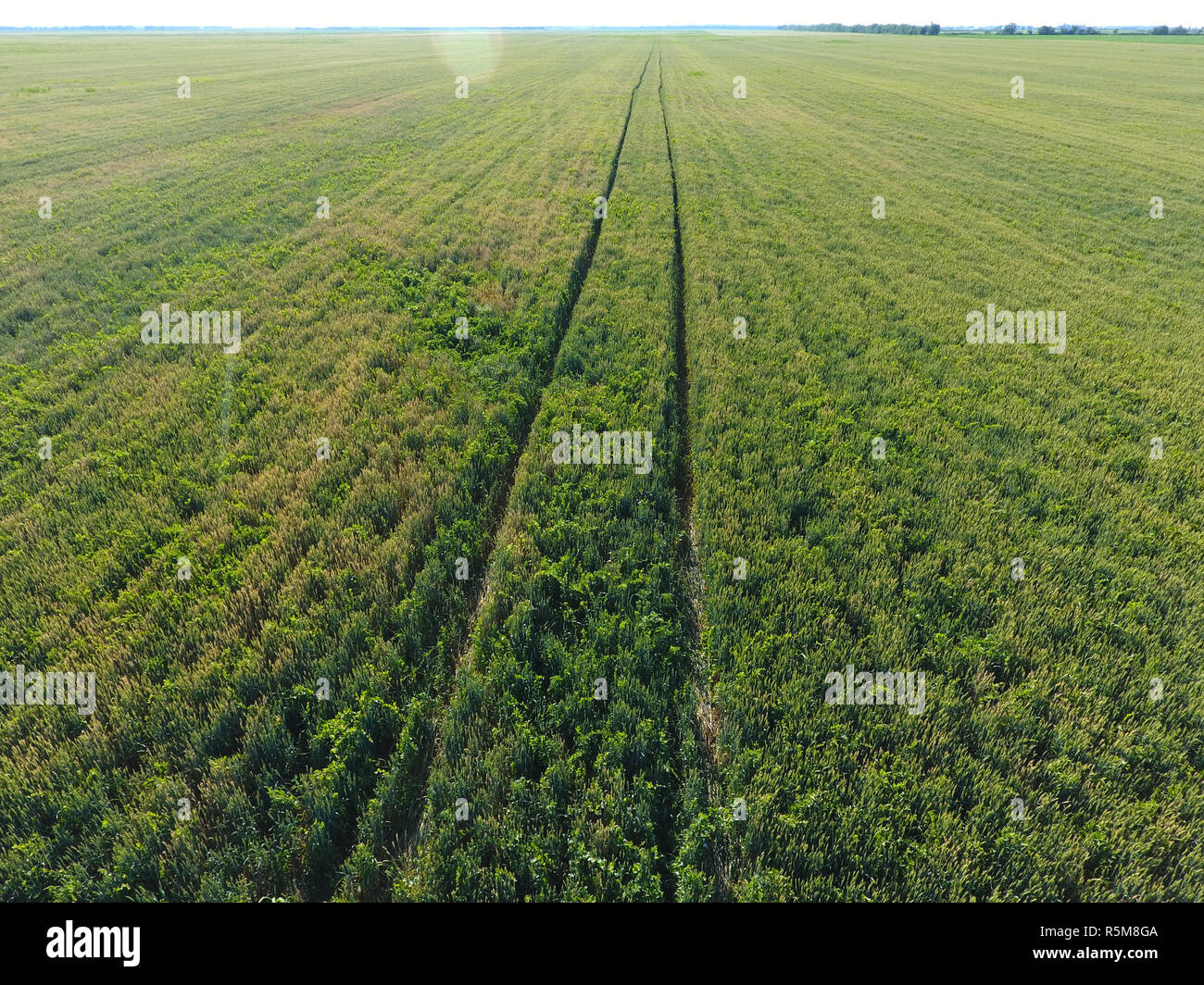 Flight over wheat field sunset hi-res stock photography and images - Alamy