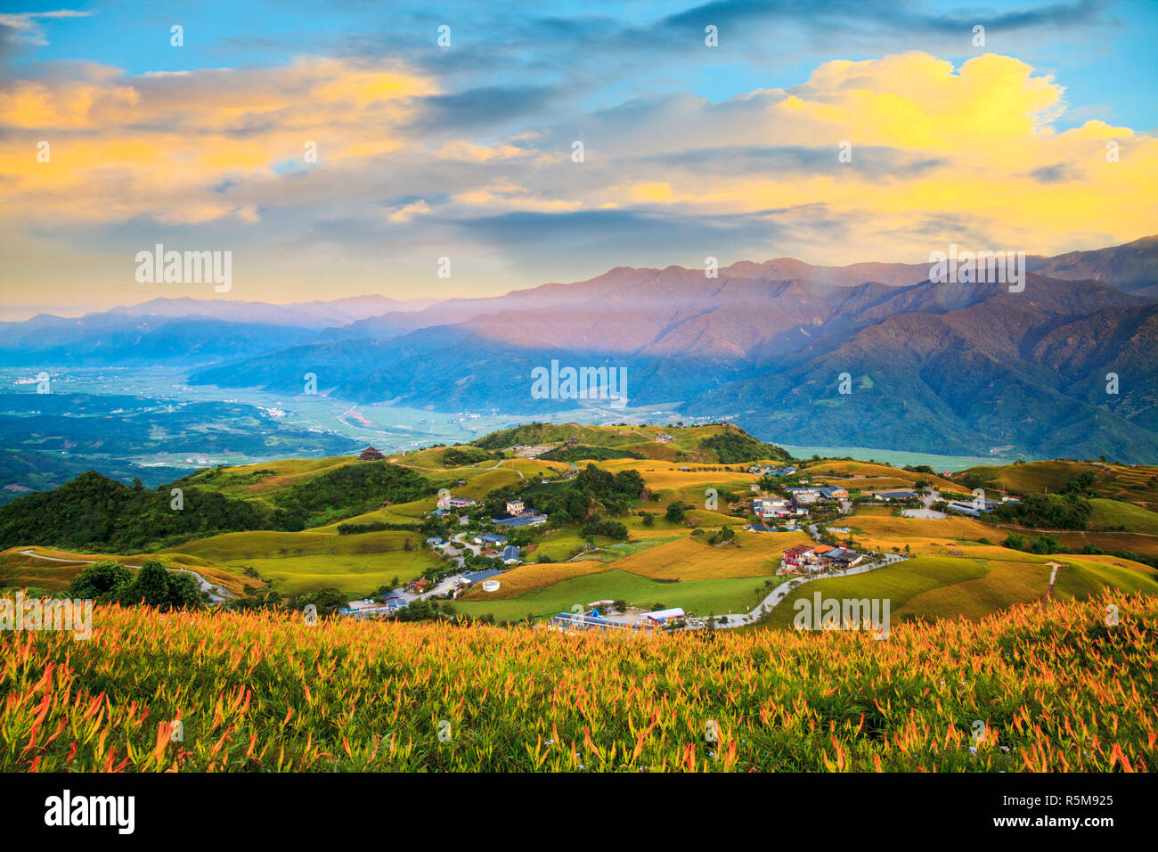 Orange daylily flower at sixty stone mountain, Fuli, Hualien, Taiwan ...