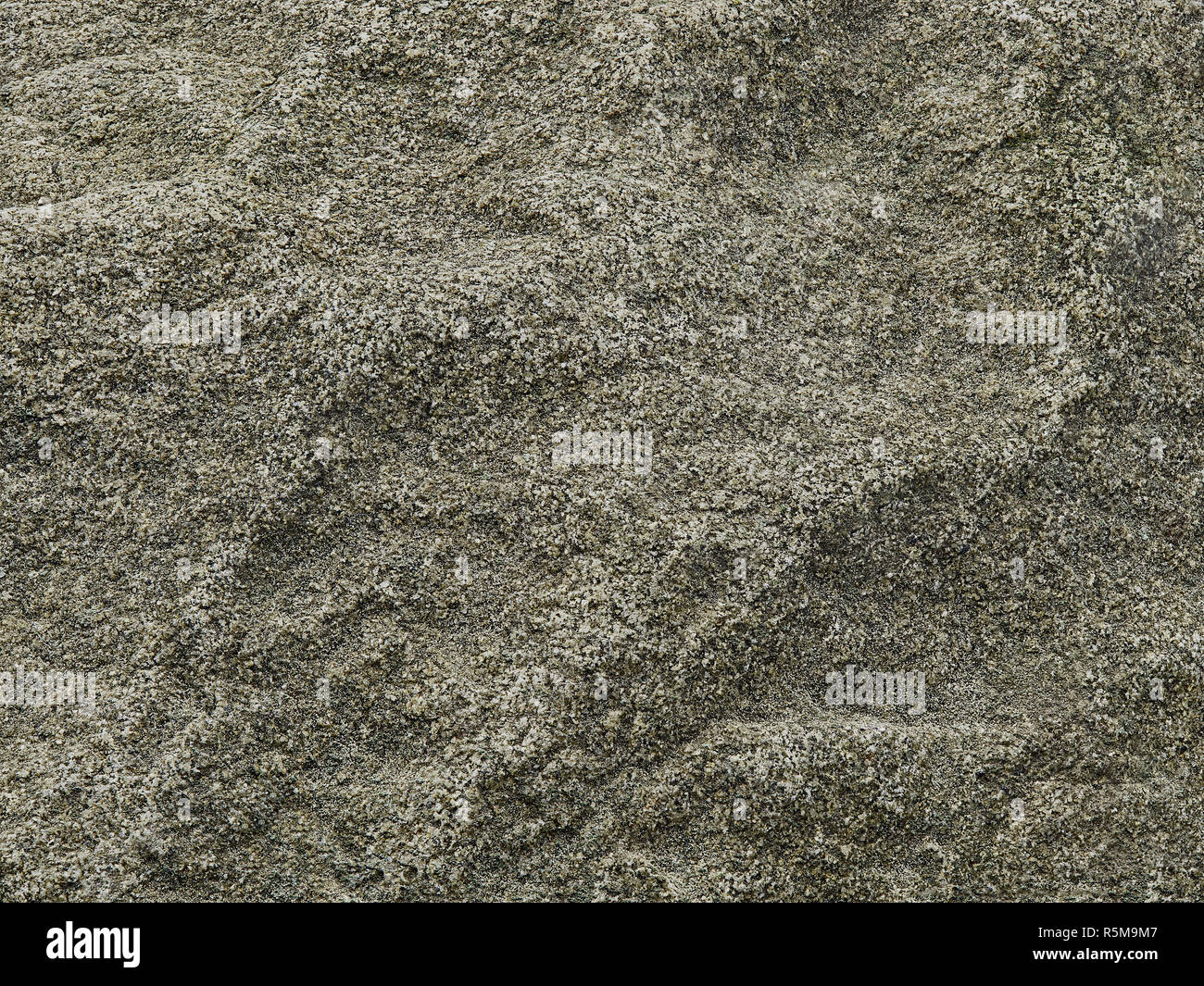 Stone surface closeup Stock Photo - Alamy