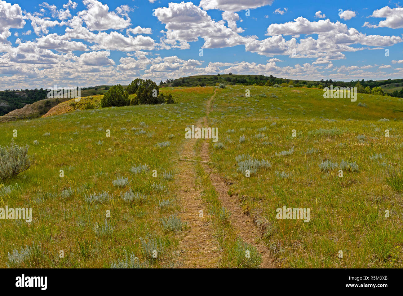 Old Trail Across the Rolling Plains Stock Photo - Alamy