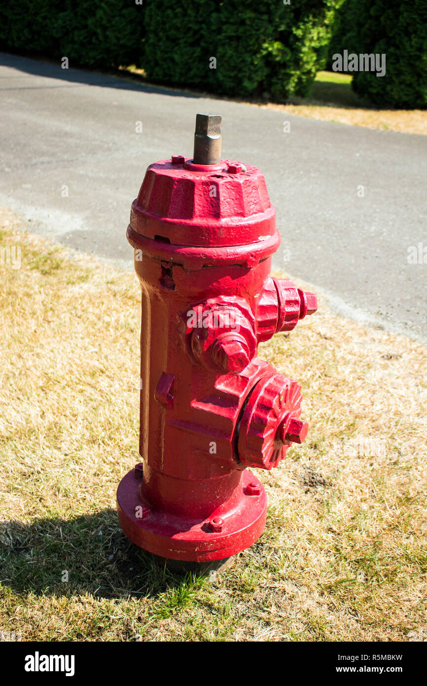 Red fire hydrant on the street Stock Photo - Alamy