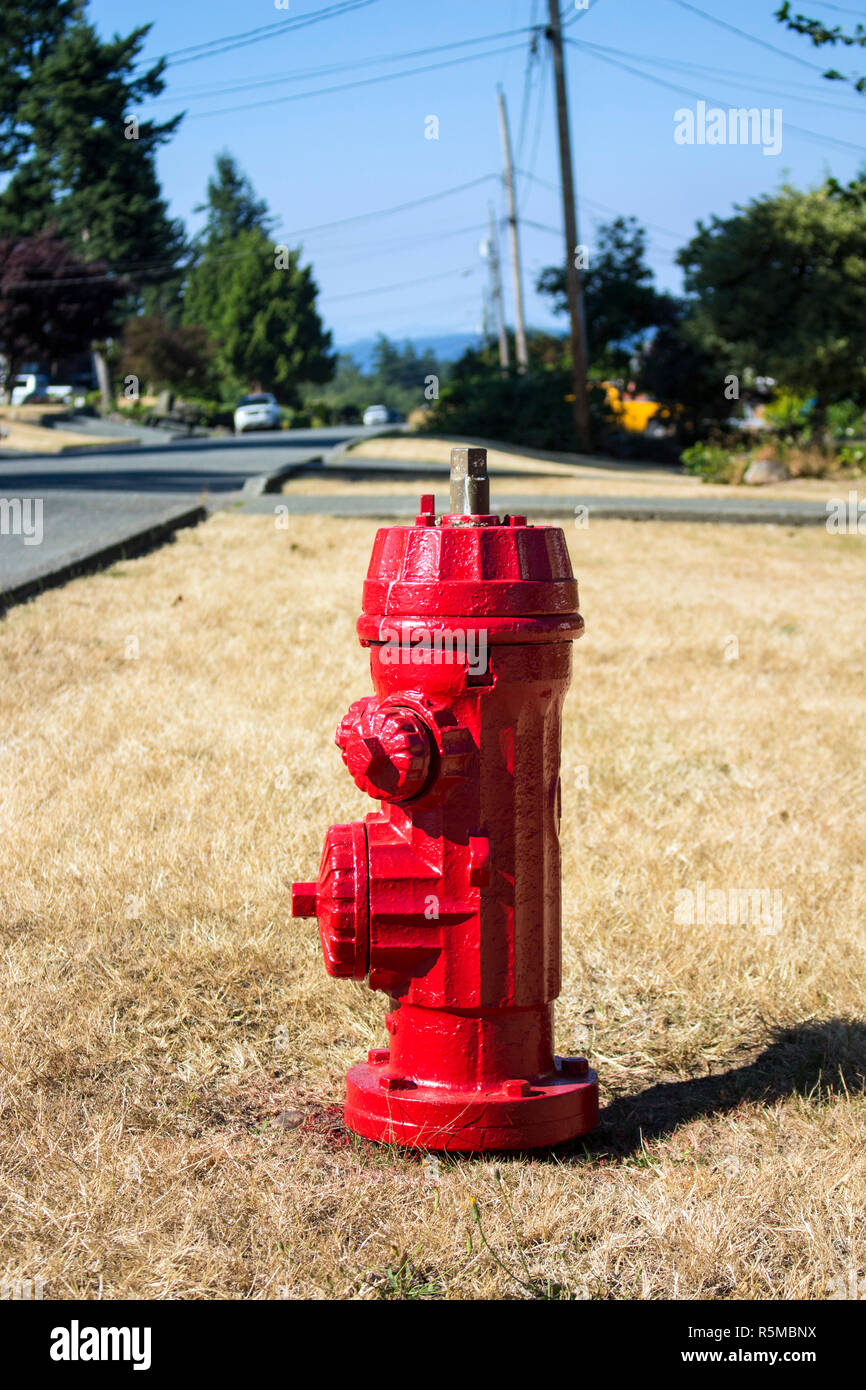 Red fire hydrant on the street Stock Photo - Alamy