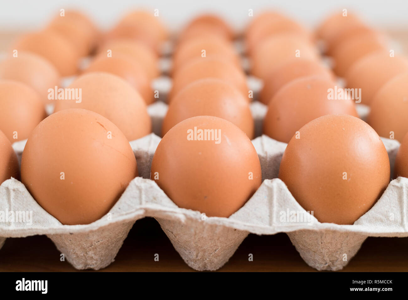 Fresh chicken egg Stock Photo - Alamy