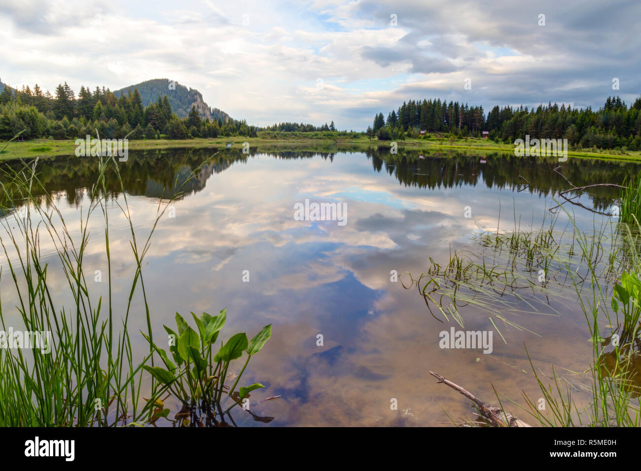 Landscape photo of Smolyan lakes. The trees and the clouds are ...