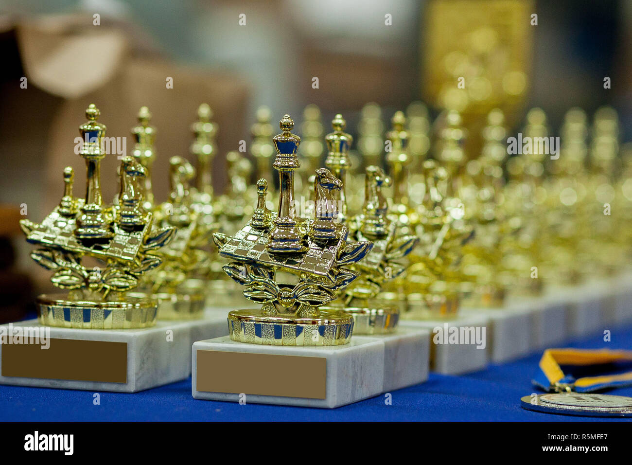 Gold cup winner. Chess.. Emotions after the game of chess Stock Photo ...