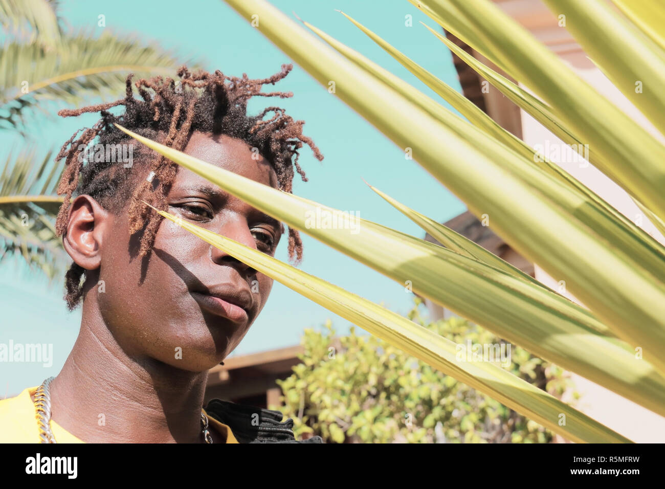 Close-up portrait of a boy's face among the pointed leaves of a plant ...