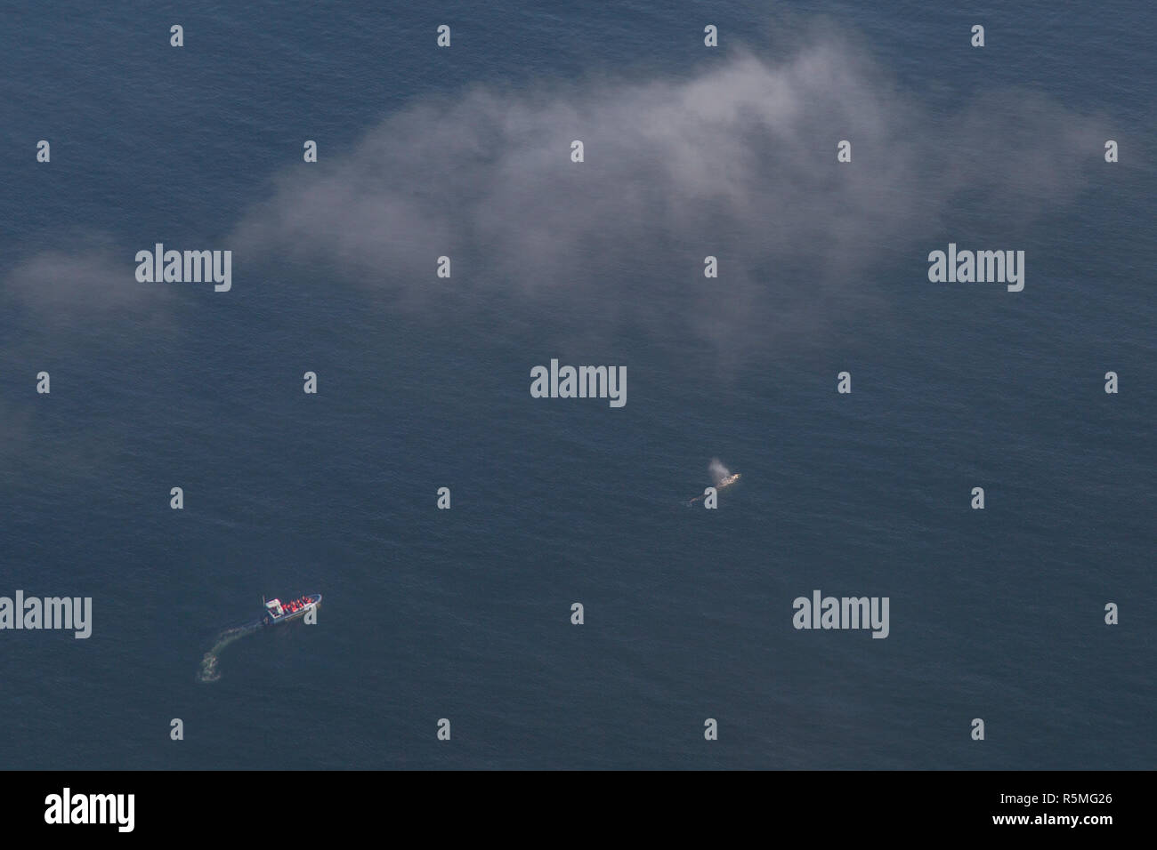 Whale blowing from the air flight over the Mount Mariner glacier ...