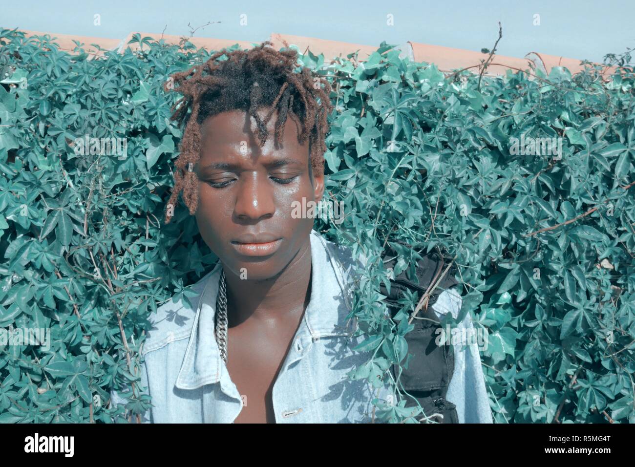 Young ivy garden hi-res stock photography and images - Alamy