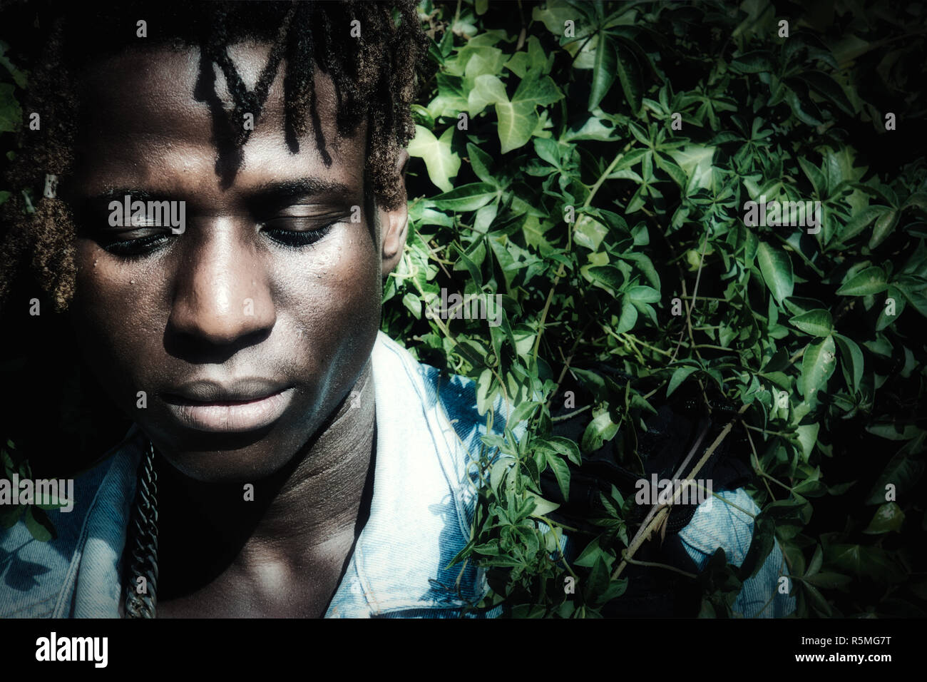 Portrait of a young man among the ivy Stock Photo - Alamy