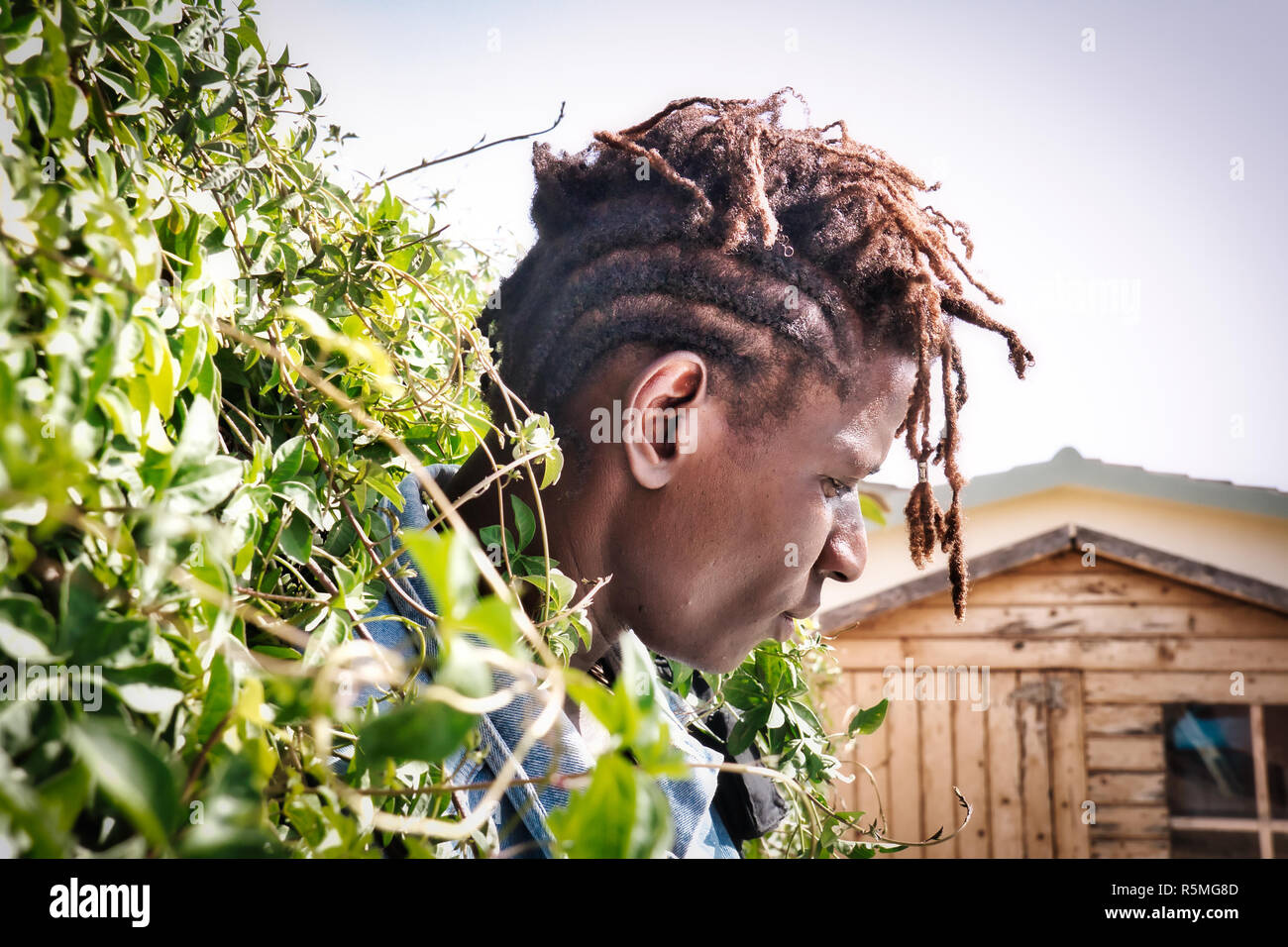 Boy of African descent with ethnic hairstyle Stock Photo - Alamy