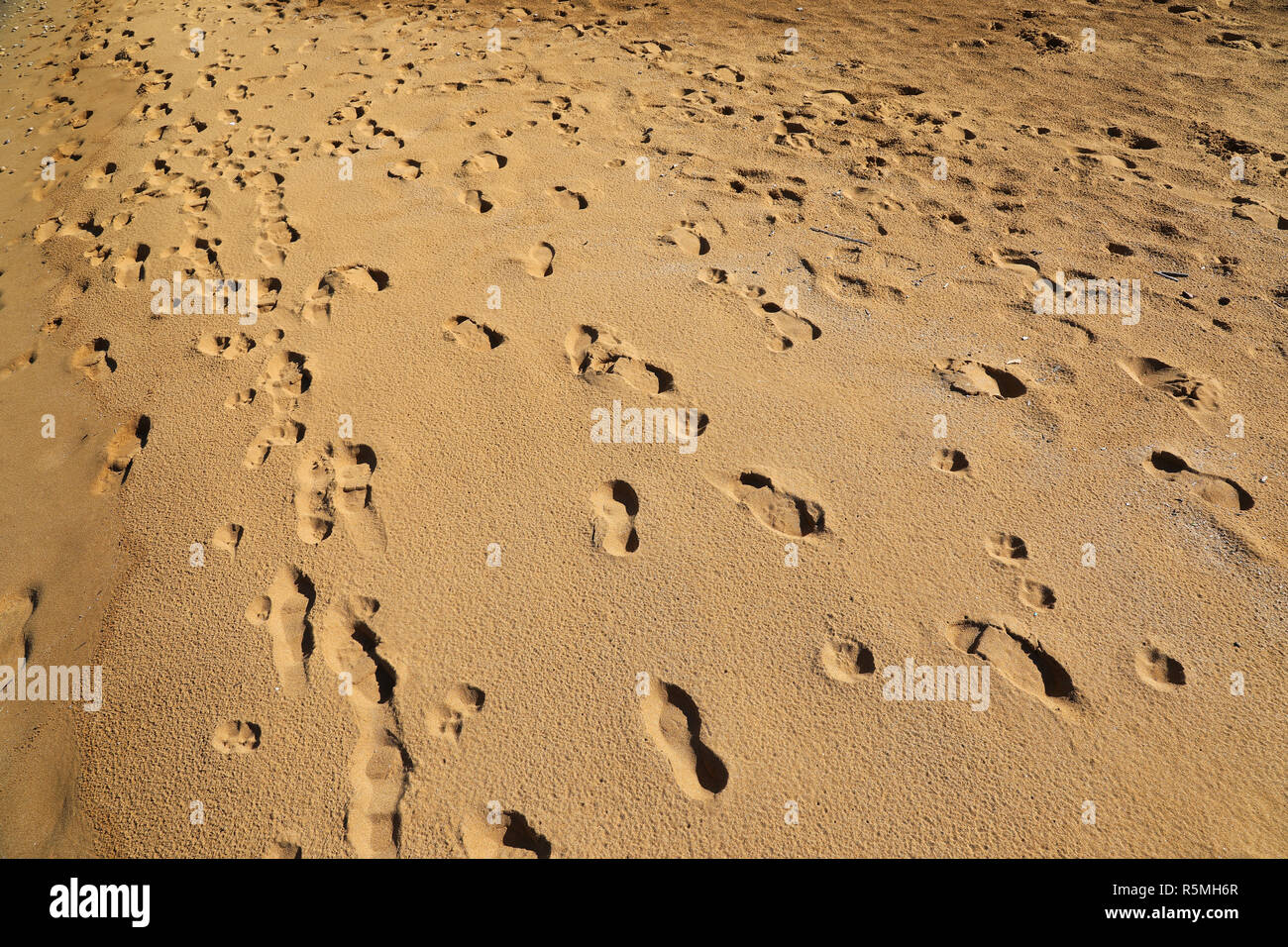 Footprints in sand Stock Photo - Alamy