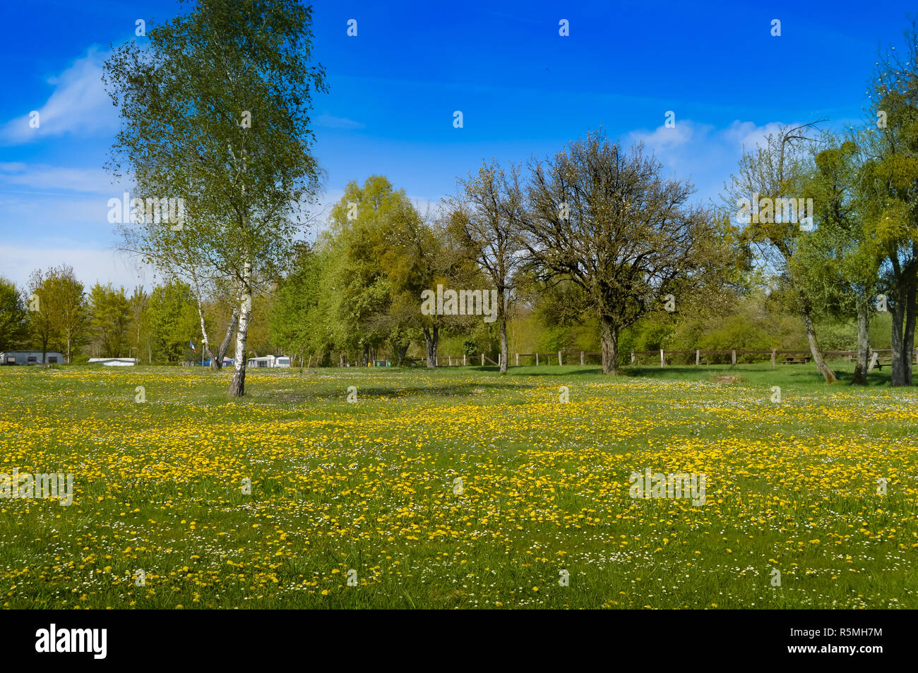 Madine hi-res stock photography and images - Alamy