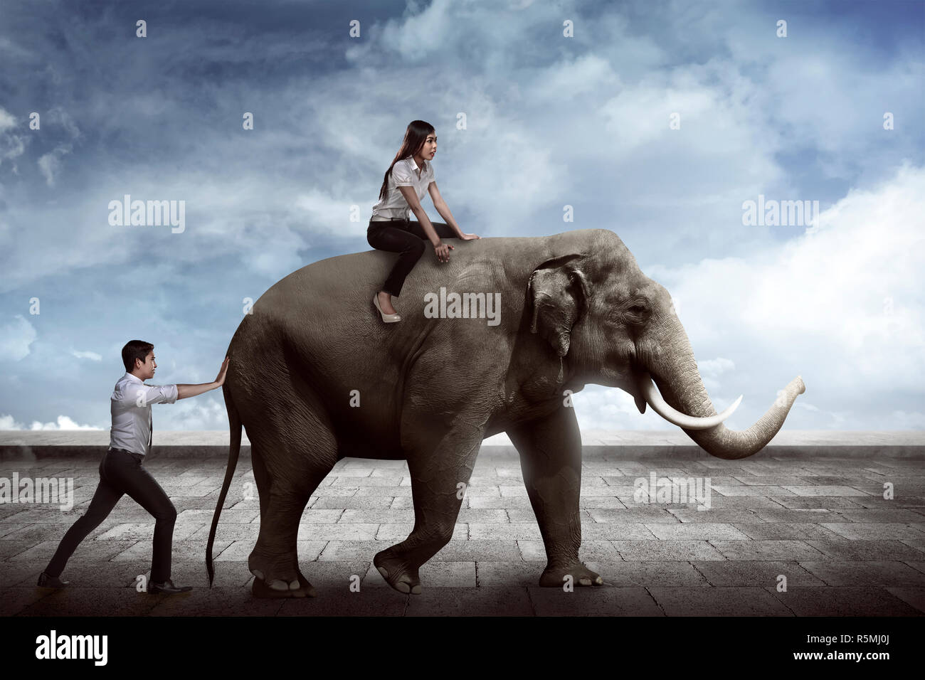 Asian business man push elephant Stock Photo - Alamy