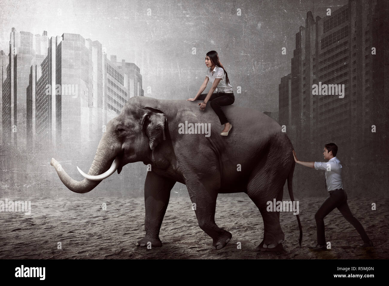 Asian business man push elephant Stock Photo - Alamy