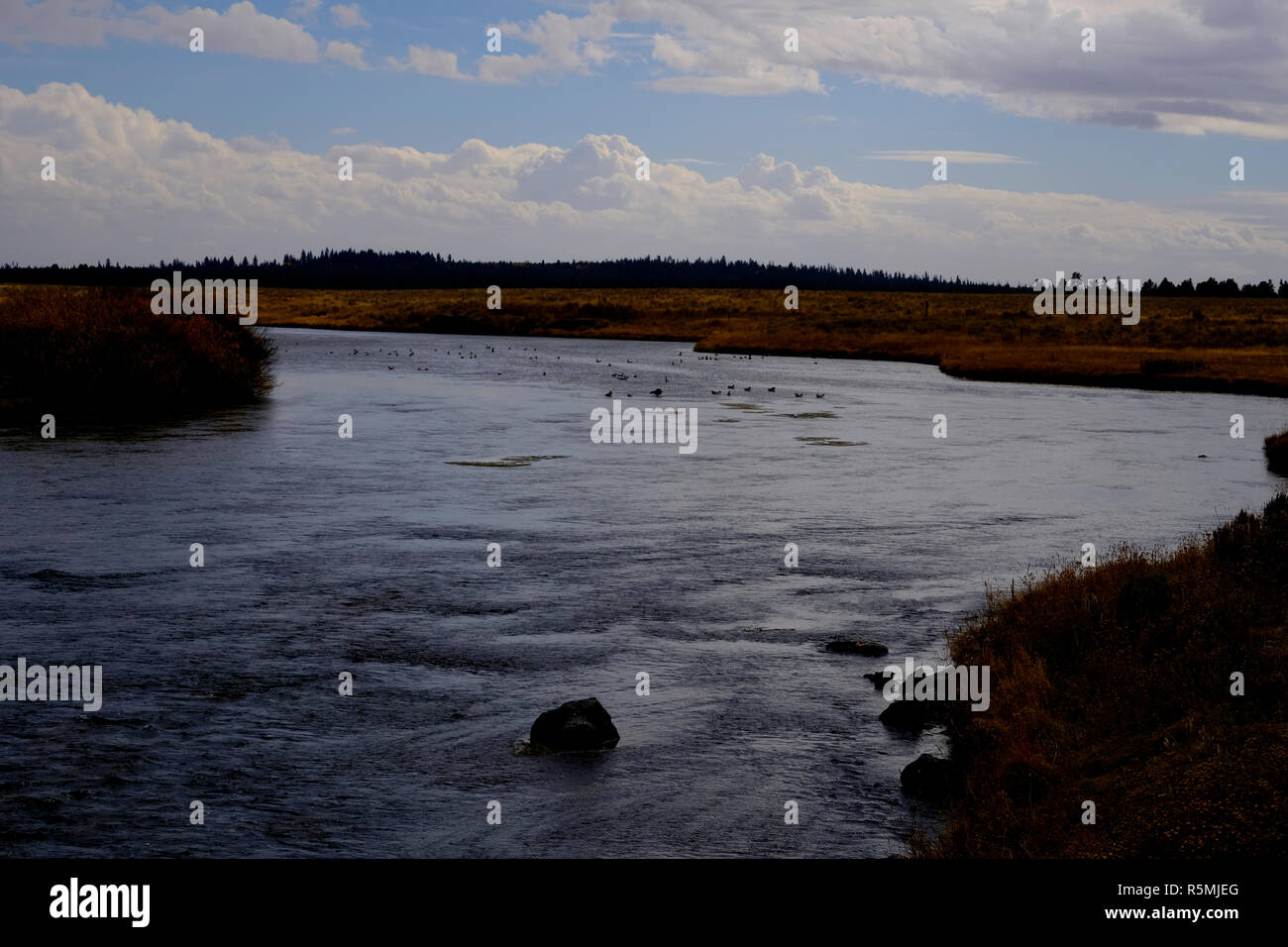 Henrys fork of the snake river hi-res stock photography and images - Alamy