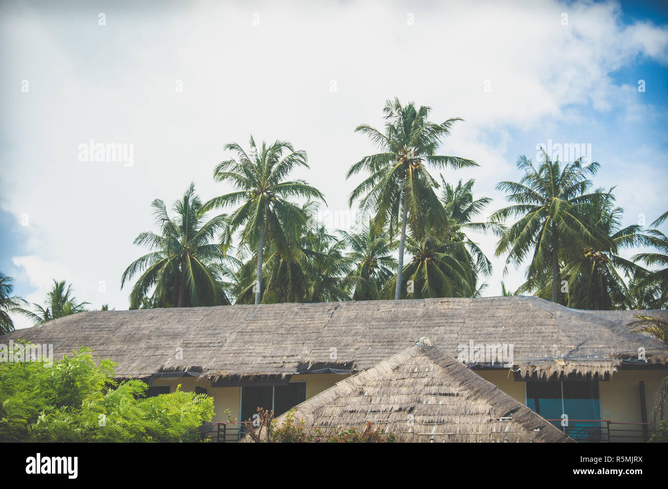 Roof and coconut Stock Photo - Alamy