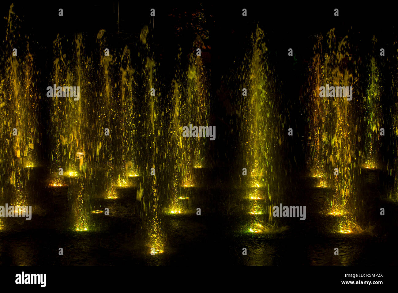 Colorfully lit fountain splashes on black background Stock Photo - Alamy