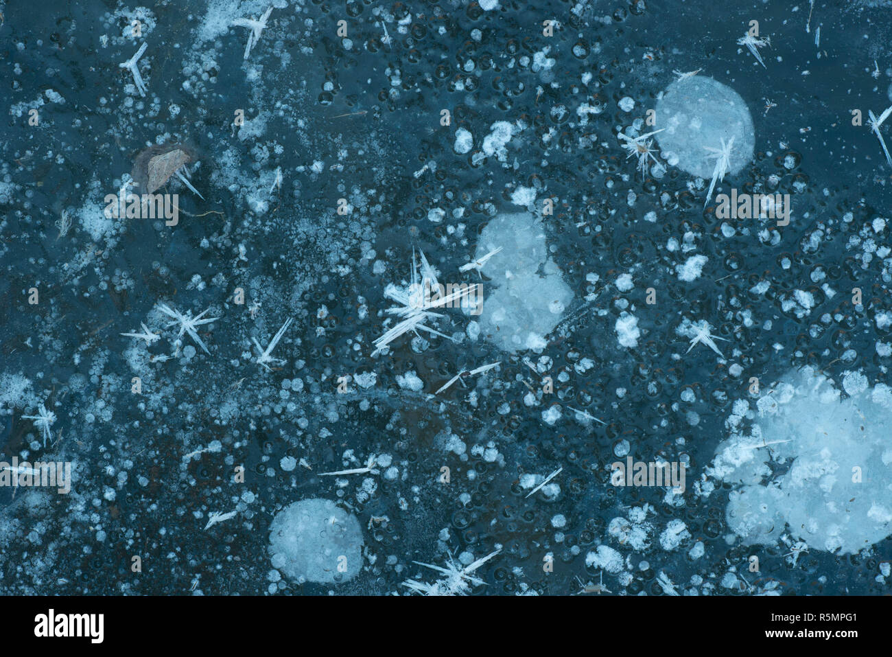 blue ice background texture on frozen pond Stock Photo - Alamy