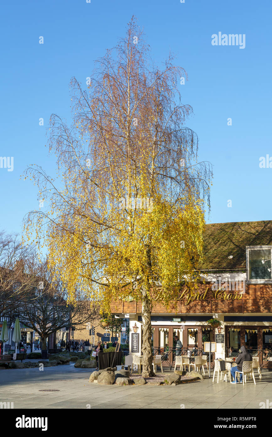 HORSHAM WEST SUSSEX/UK - NOVEMBER 30 : View of the Lynd Cross in ...