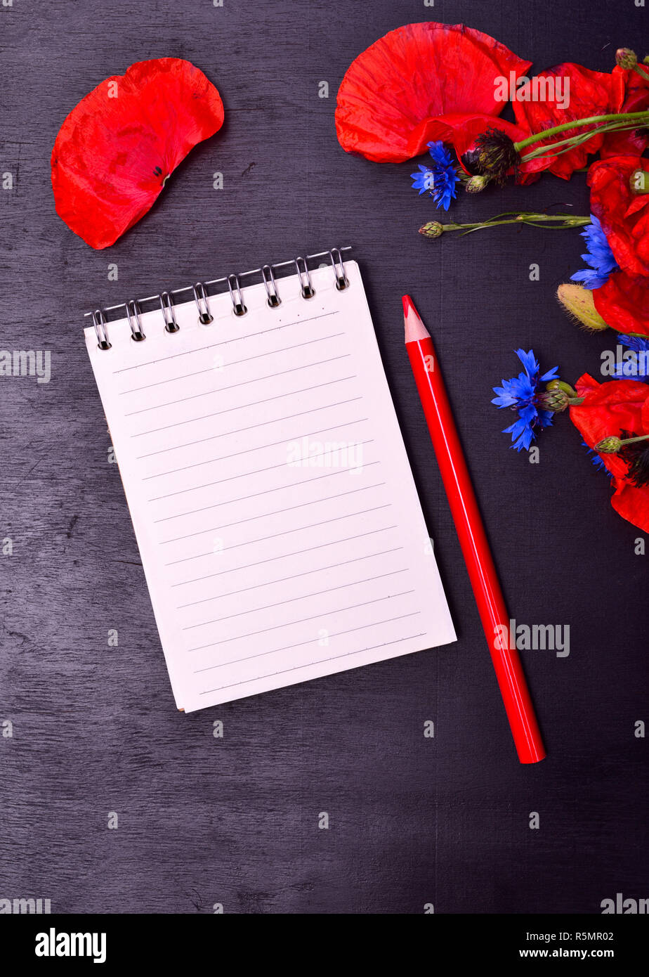 Empty paper notepad in line and red pencil Stock Photo - Alamy