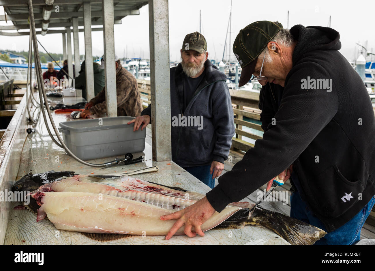 Raw halibut saltwater fish hi-res stock photography and images - Alamy